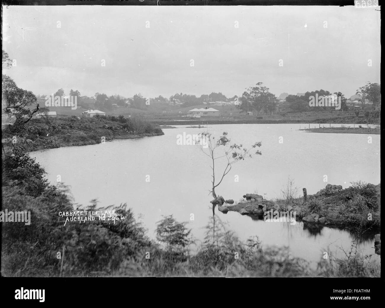 This view captures Cabbage Tree Lake in Auckland, New Zealand ...