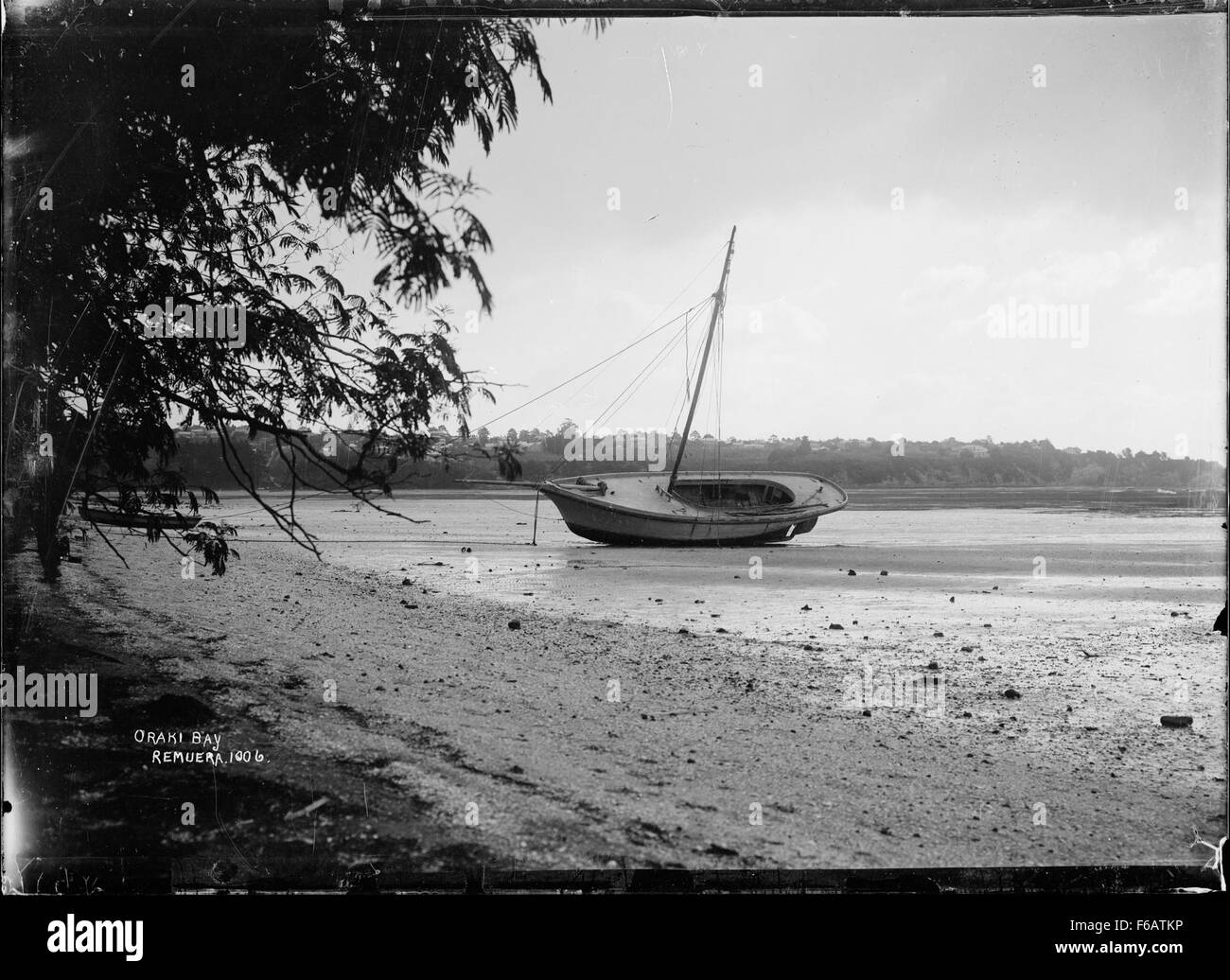 Orakei bay auckland hi-res stock photography and images - Alamy