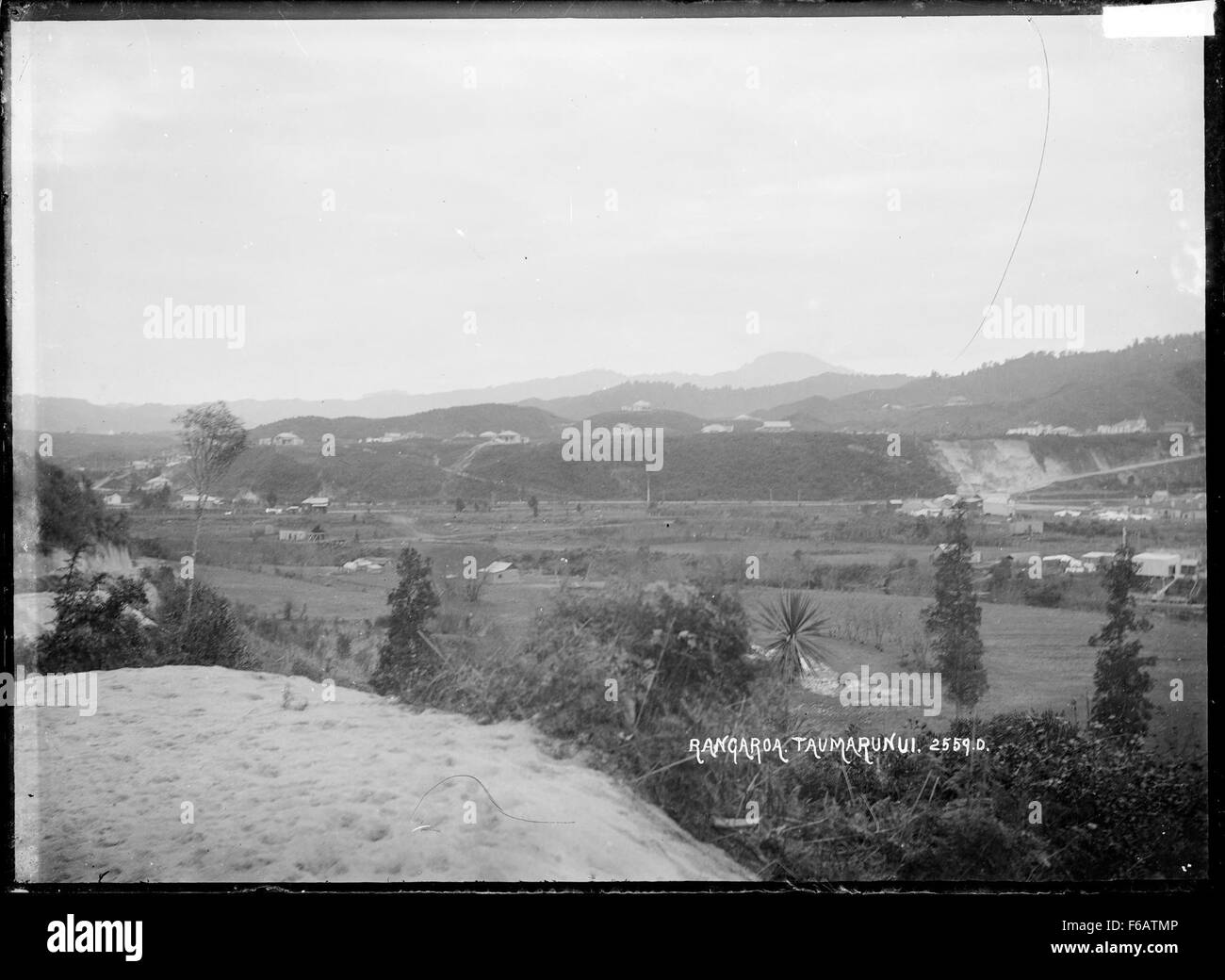 This scenic view of Rangaroa in Taumarunui captures the serene beauty ...