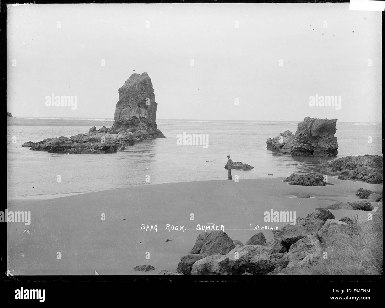 Shag rock sumner hi-res stock photography and images - Alamy
