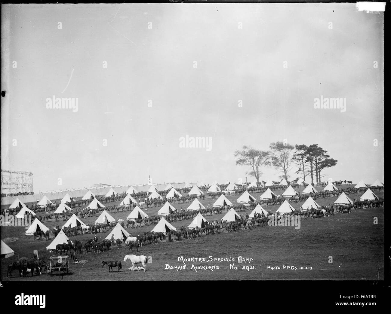 This image shows the Mounted Specialâ€™s camp set up in Auckland Domain ...