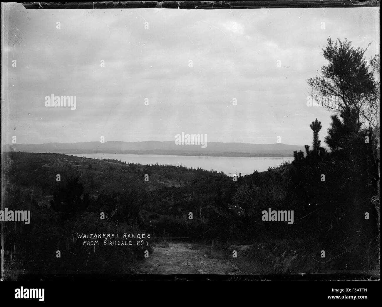 This painting offers a scenic view of the Waitakere Ranges from ...