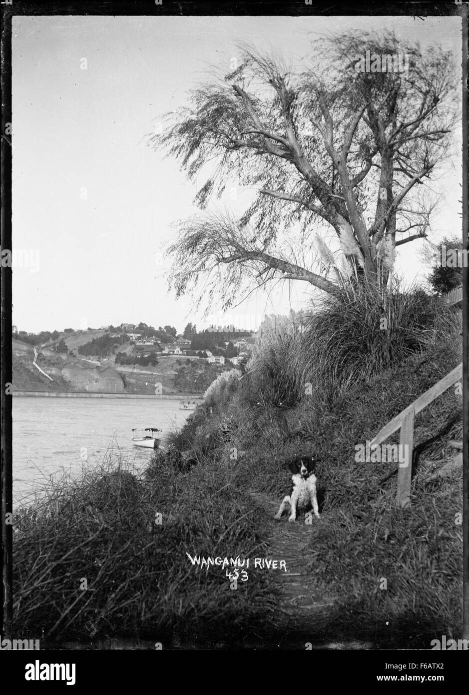 A scenic view of the Whanganui River, located near Wanganui city in New ...