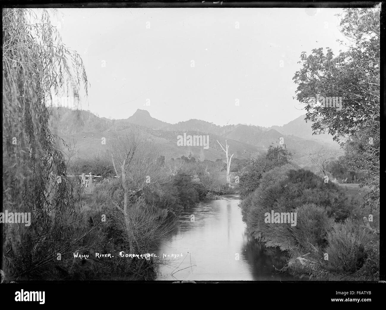 The Waiau River, located in the Coromandel region of New Zealand, is ...