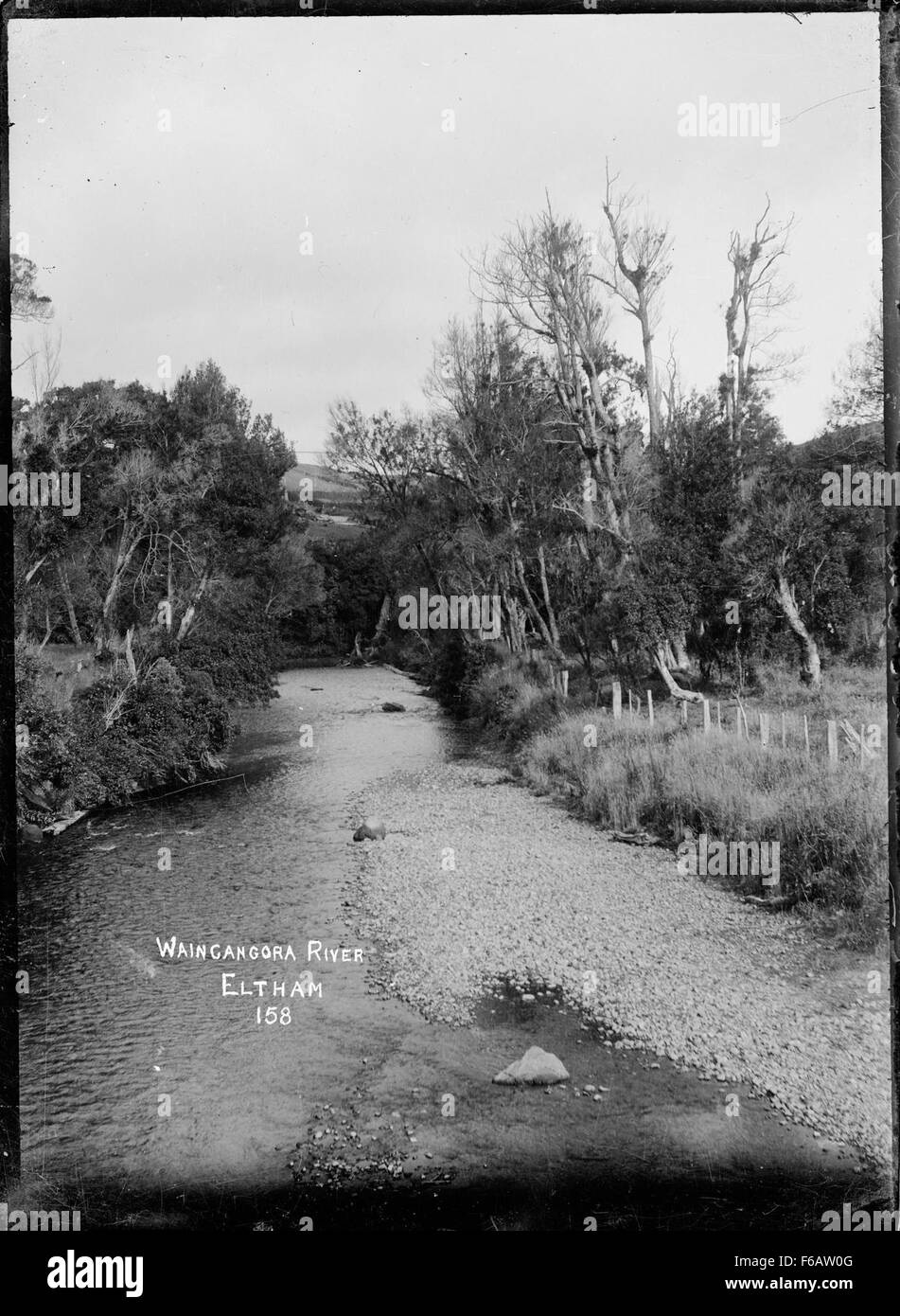 Waingongoro river hi-res stock photography and images - Alamy