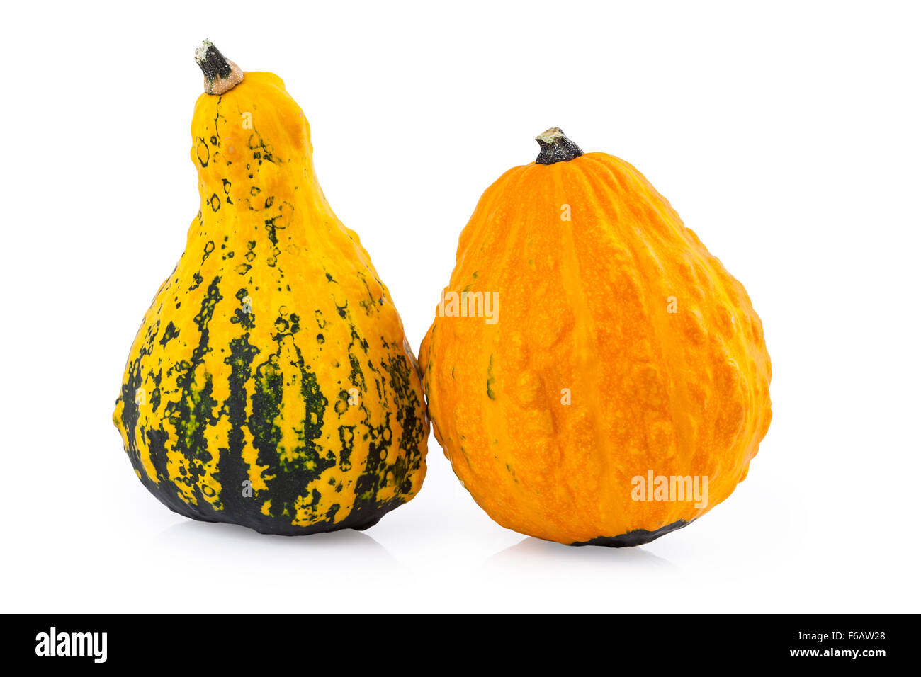 Bumpy gourds hi-res stock photography and images - Alamy