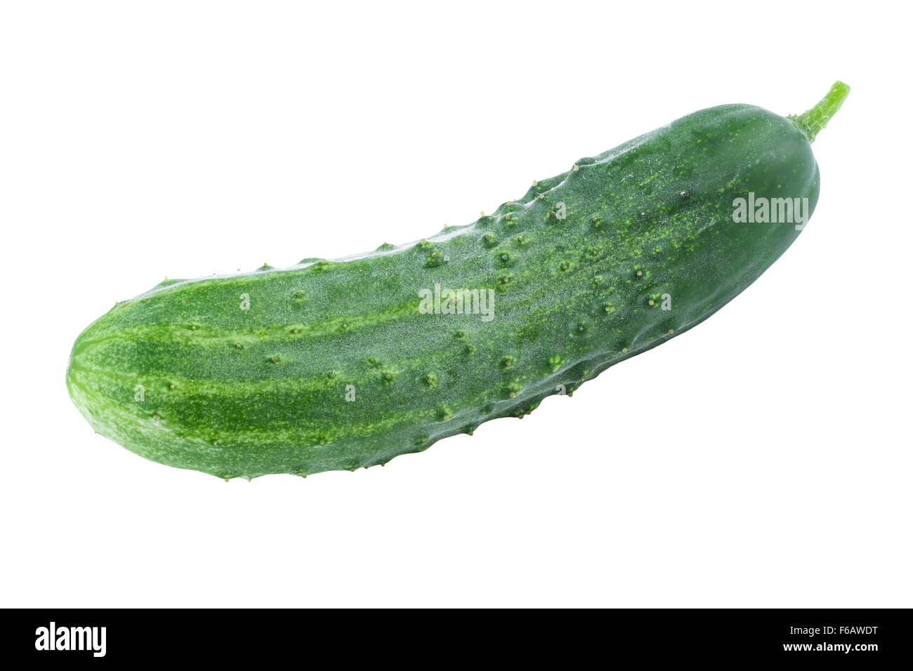 one cucumber isolated on white Stock Photo - Alamy