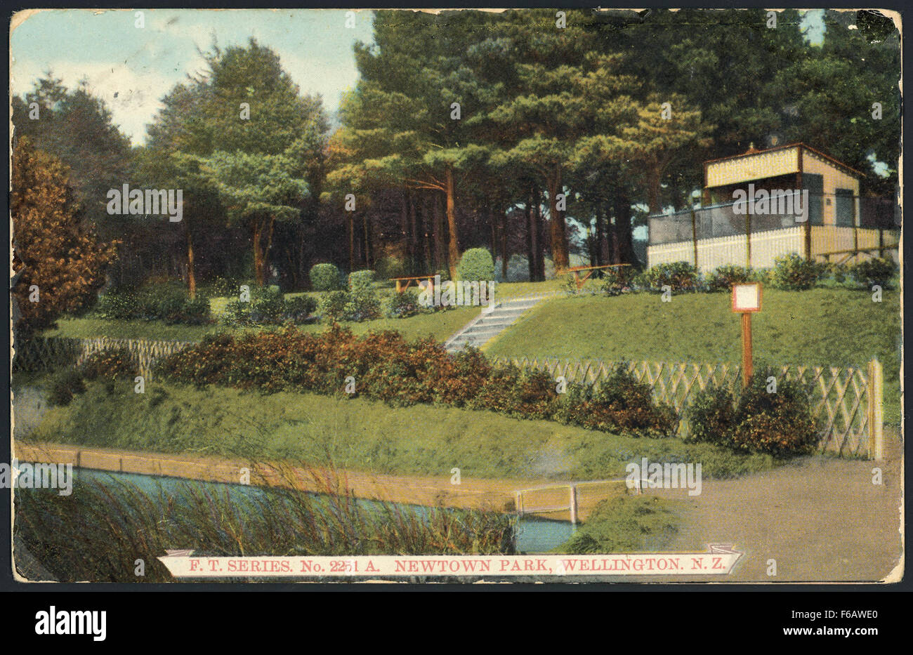 [Postcard] FT series, no 2251 A Newtown Park, Wellington, NZ Stock ...