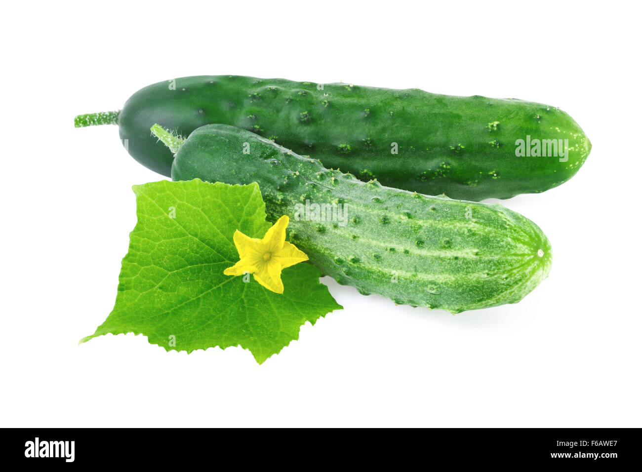 Closeup shot fresh cucumber Cut Out Stock Images & Pictures - Alamy
