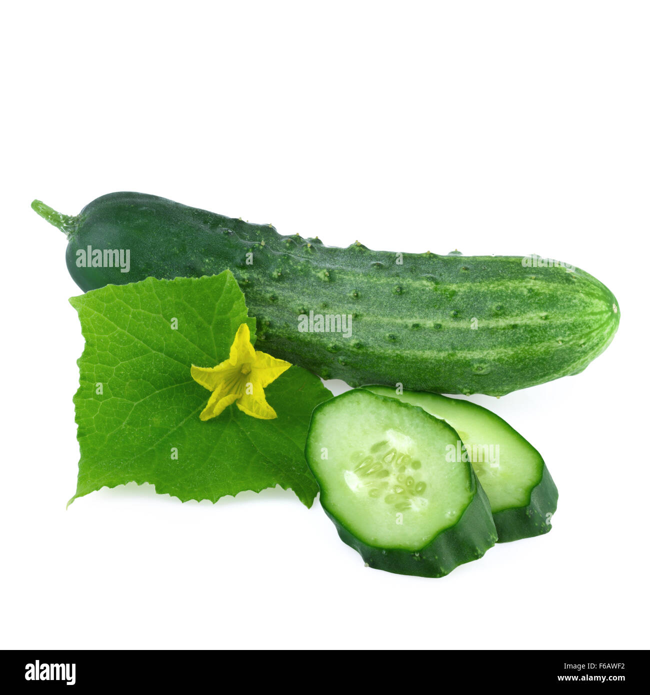 Closeup shot fresh cucumber hi-res stock photography and images - Alamy