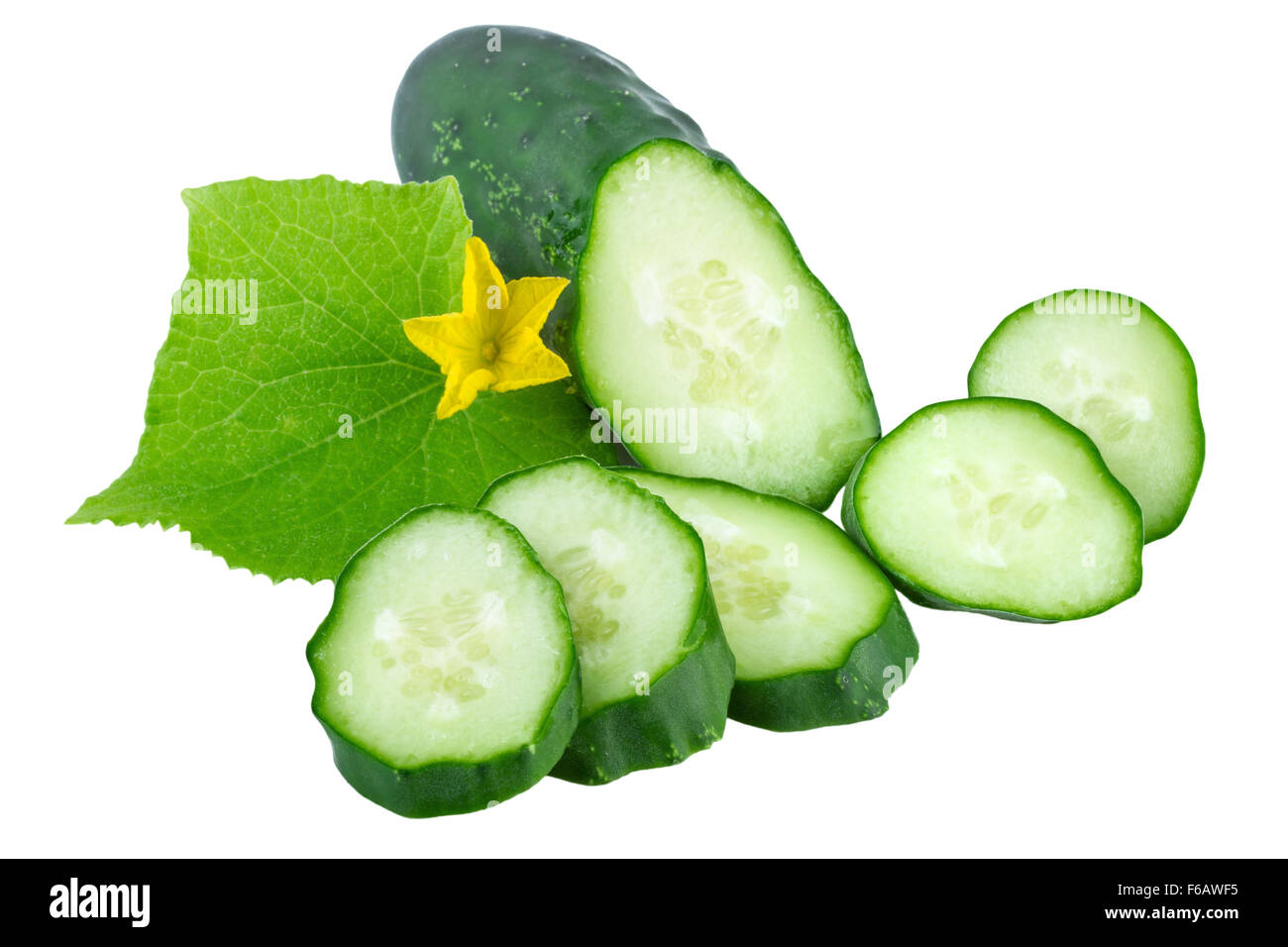 fresh cucumber organic vegetable Stock Photo - Alamy