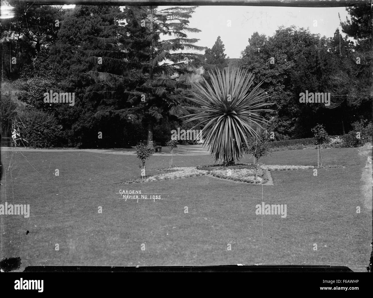 Old botanical photograph hi-res stock photography and images - Alamy