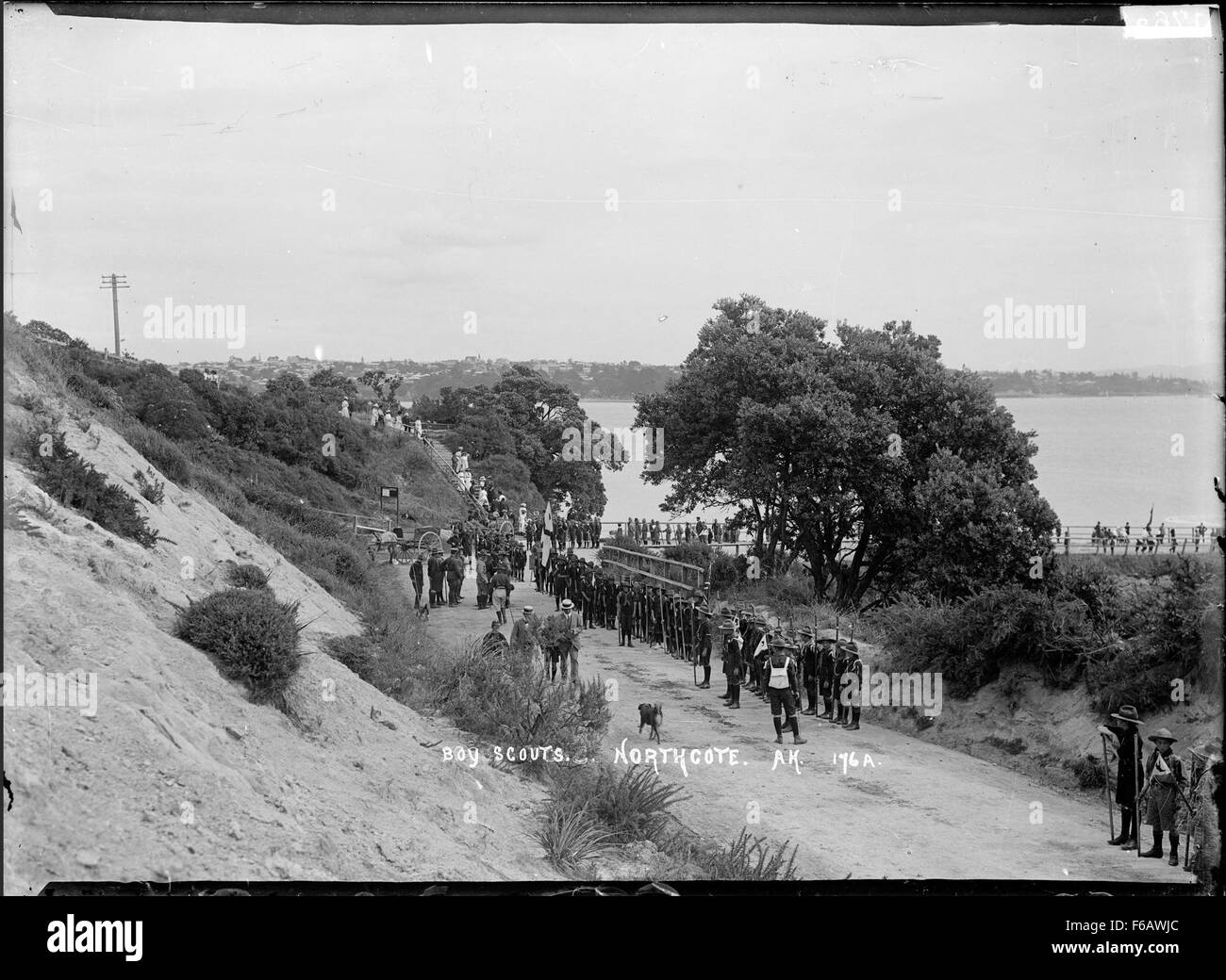 Boy scouts at Northcote, Auckland Stock Photo - Alamy