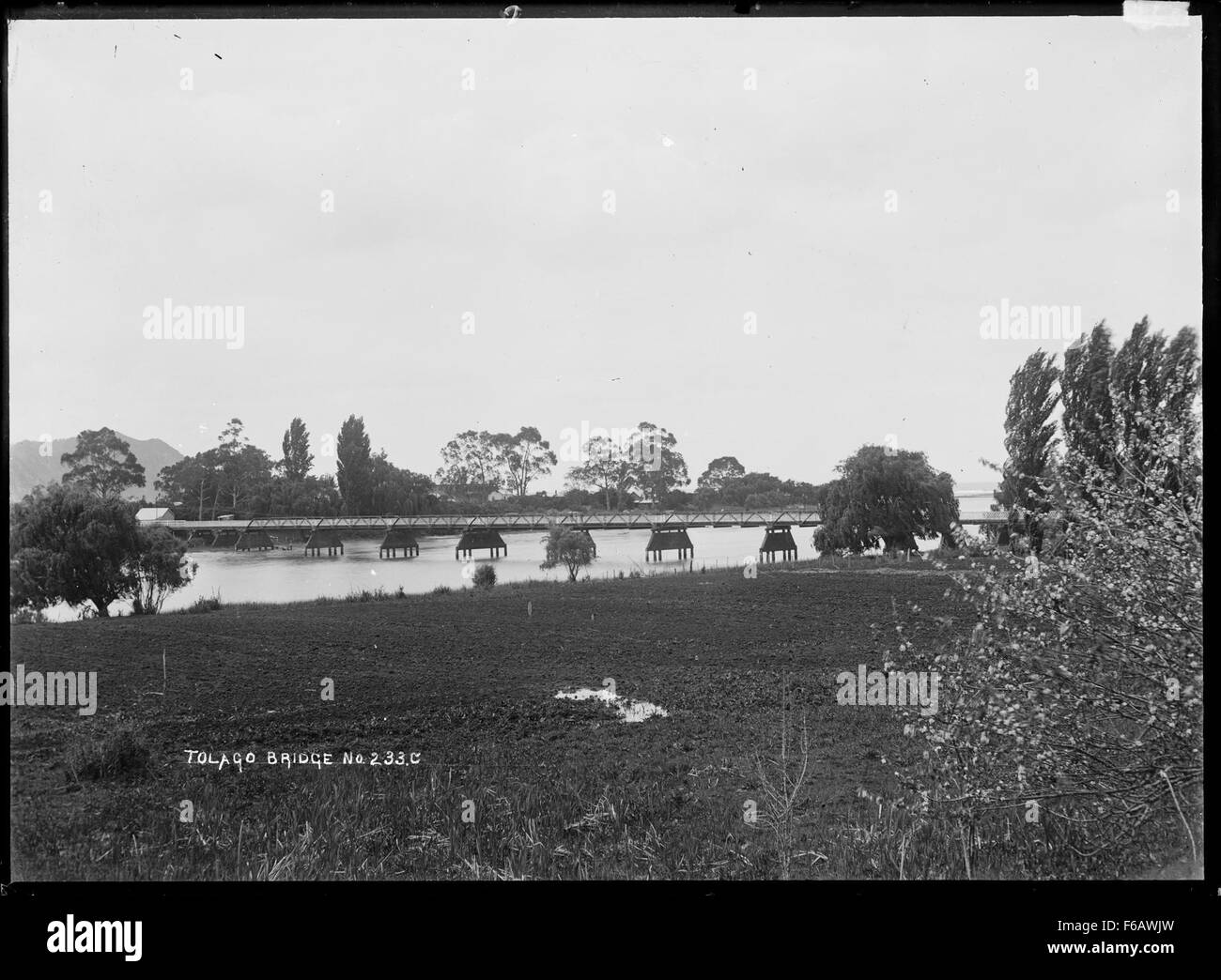 The painting depicts the scenic bridge over the Uawa River in Tolaga ...