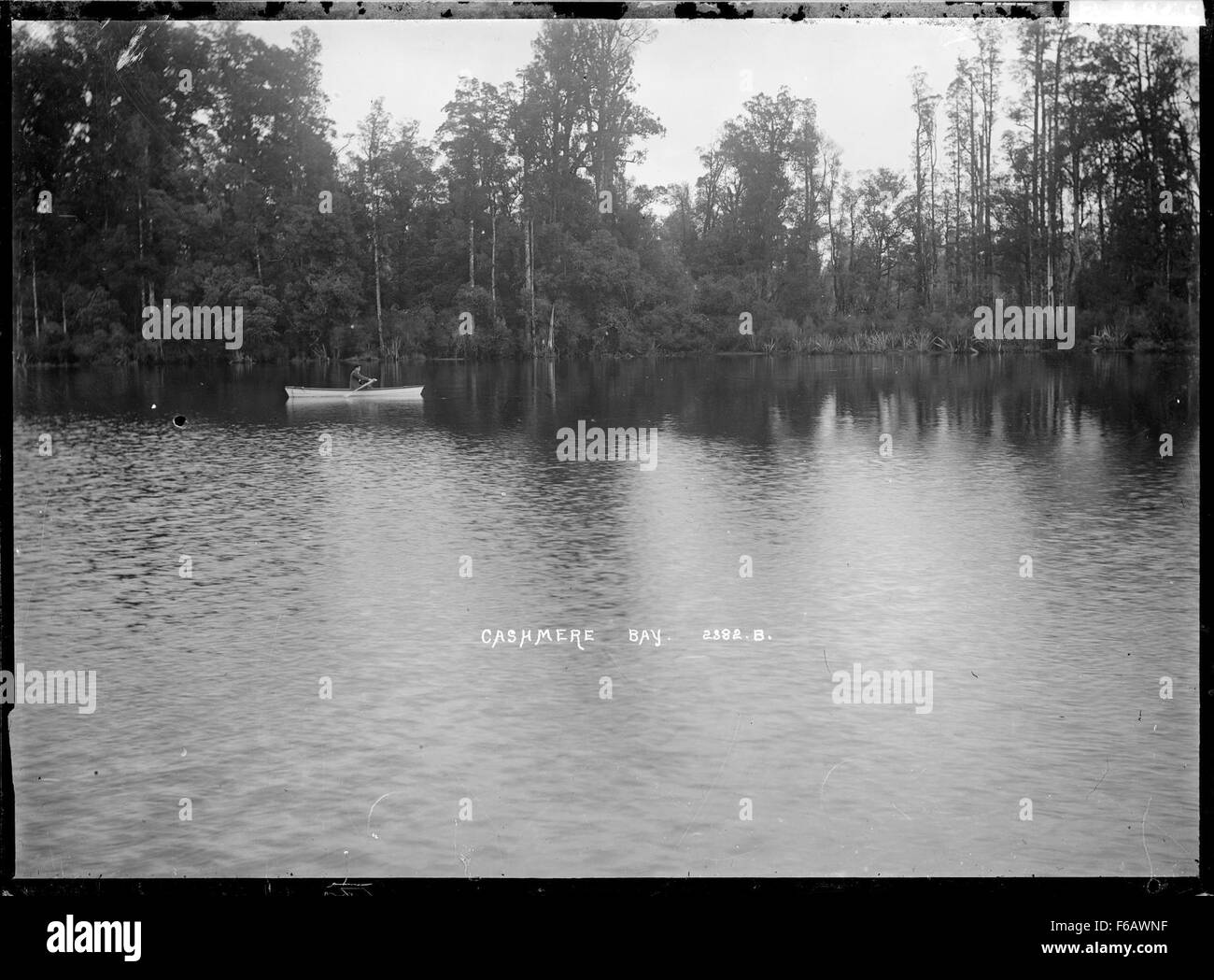 Cashmere Bay, located on Lake Brunner in the Westland region of New ...