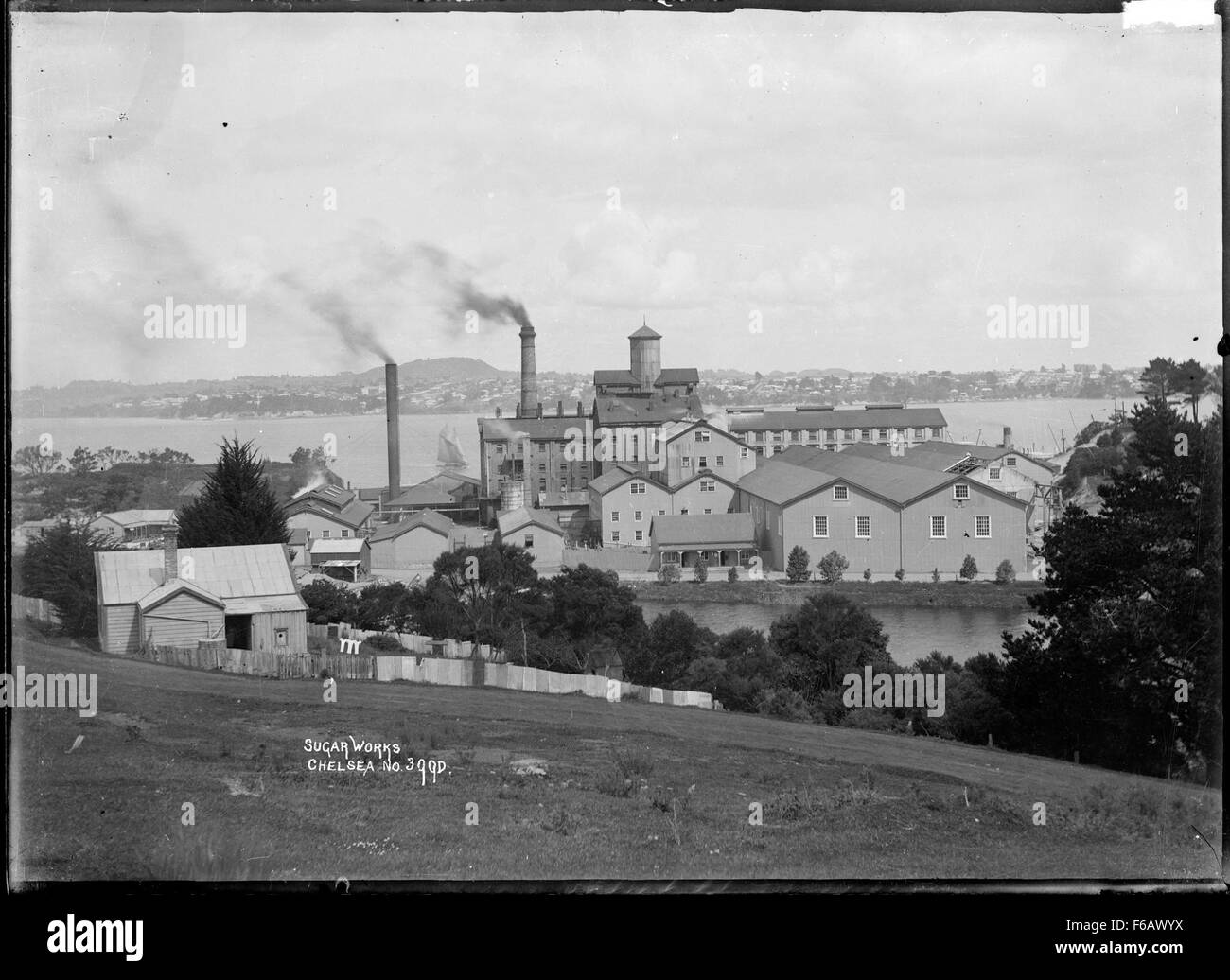 This historic image shows the Colonial Sugar Company works located at ...