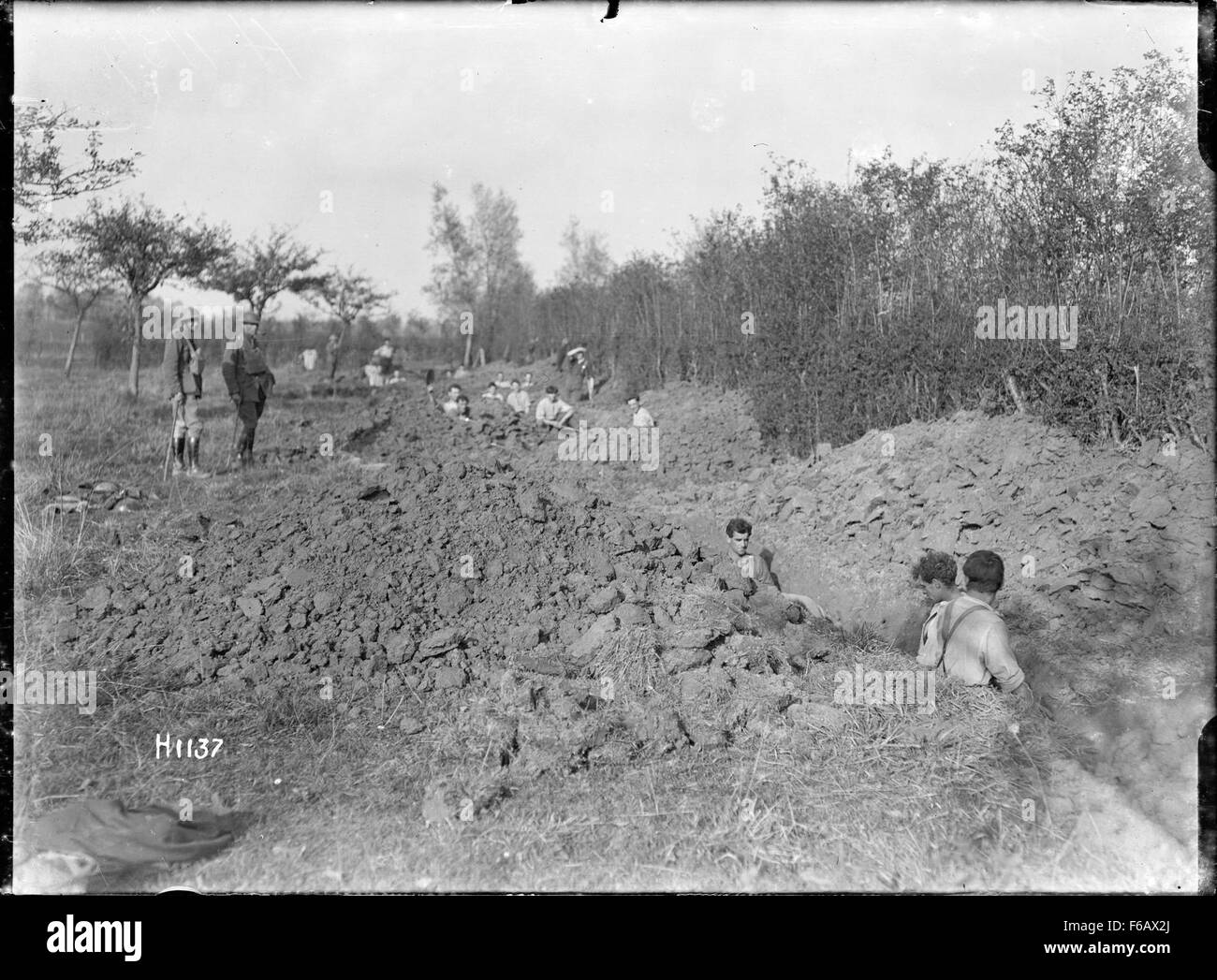 This photograph shows soldiers digging gun positions for New Zealand ...