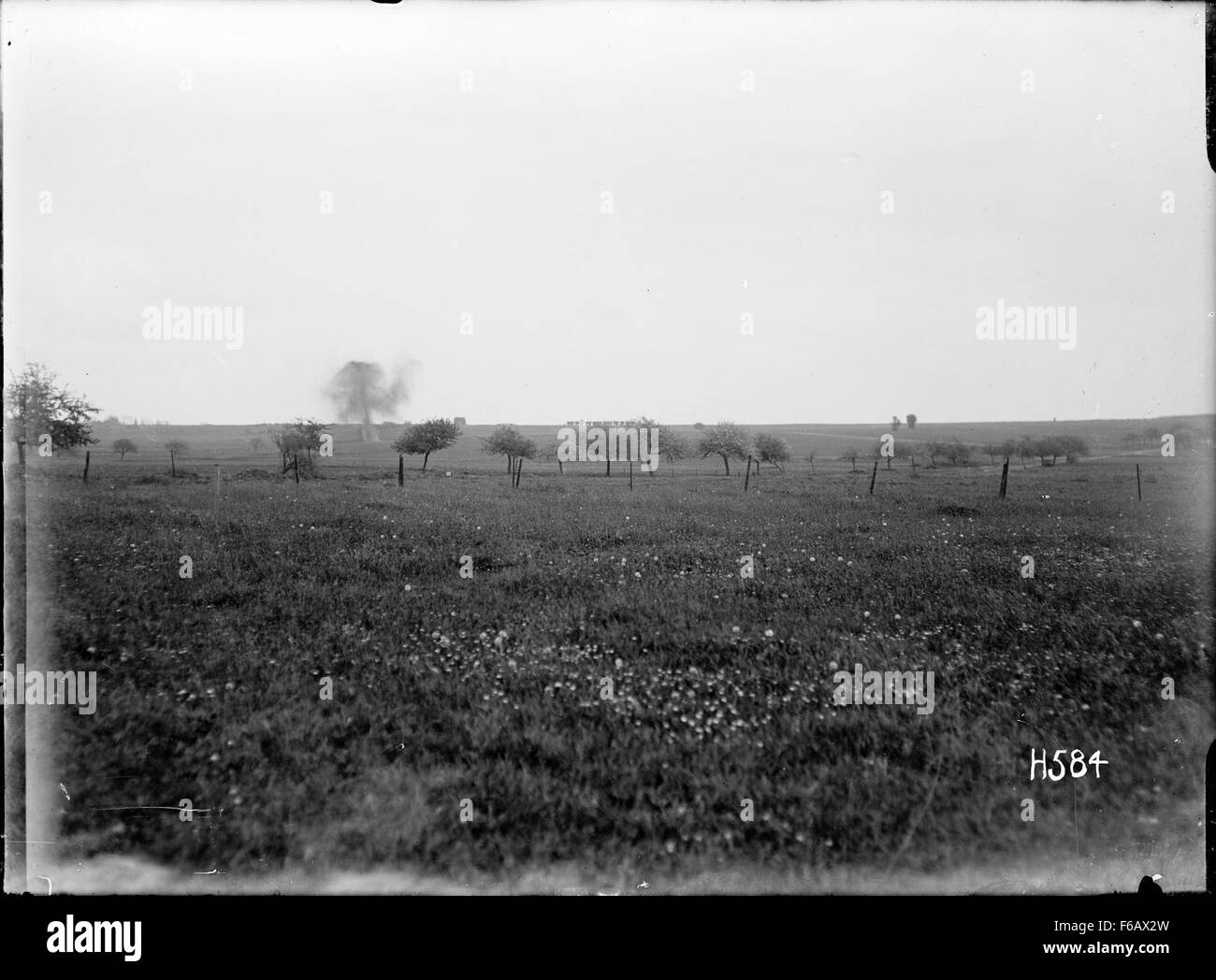 This dramatic artwork captures the intensity of World War I, with a ...