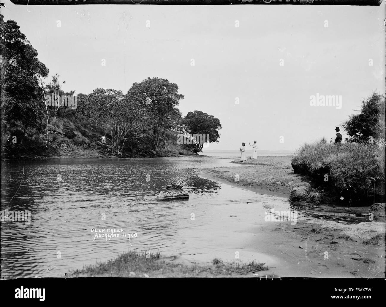 Waiake Beach High Resolution Stock Photography and Images - Alamy
