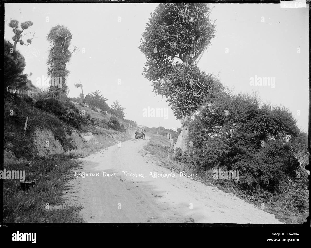 Exhibition Drive in Titirangi, Auckland, is a scenic route that ...