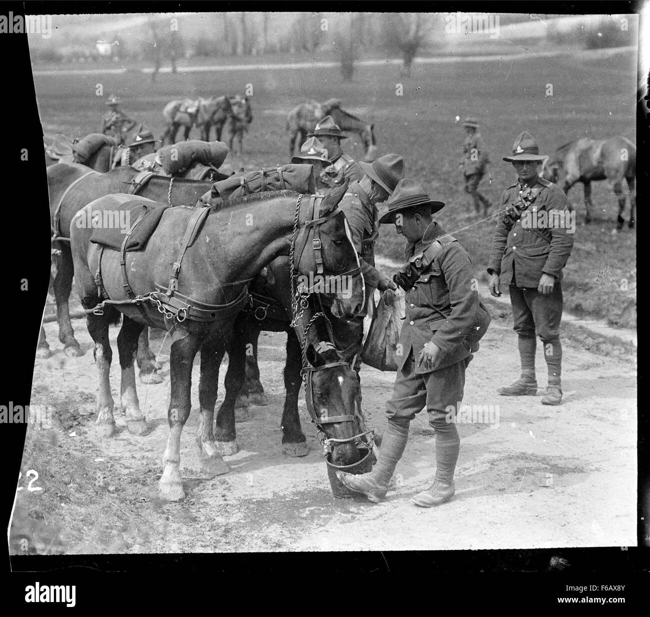 Horse artillery first world war hi-res stock photography and images - Alamy