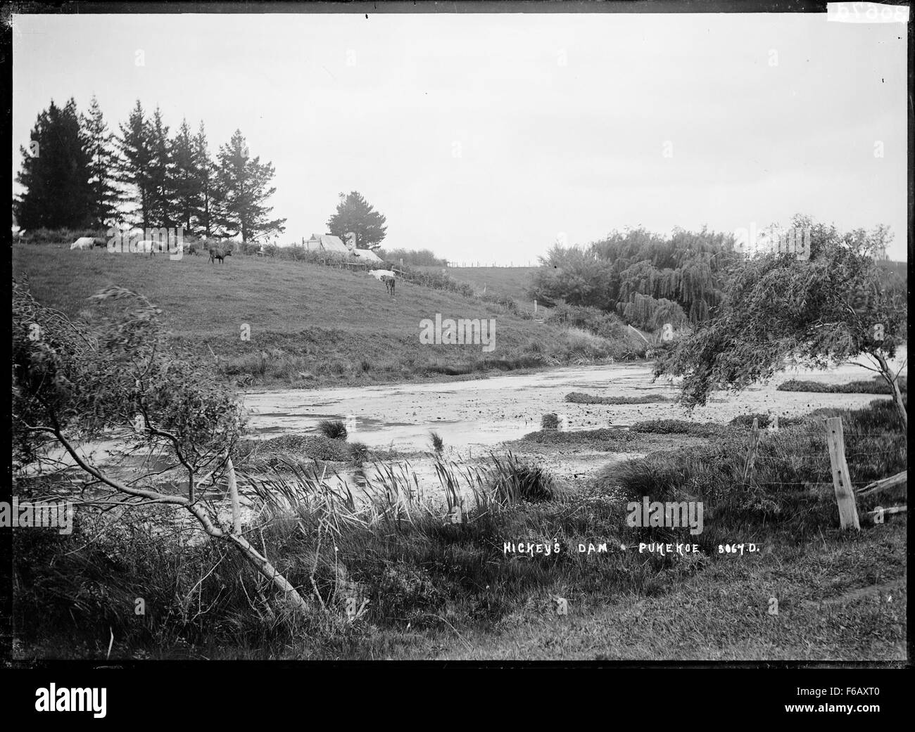 Hickey's Dam, located in Pukekohe, New Zealand, is a notable landmark ...