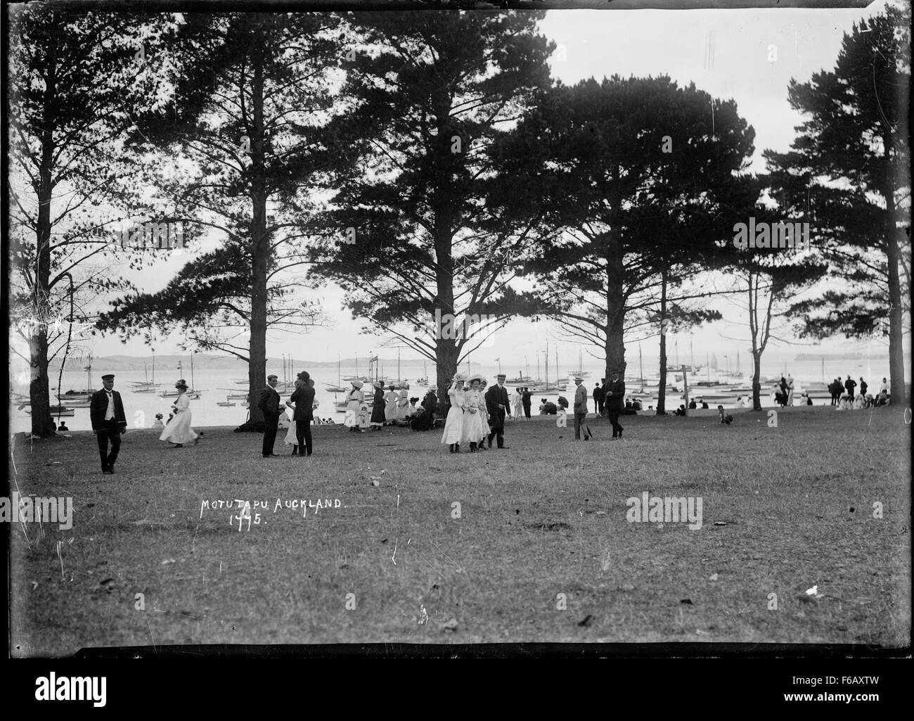 Home Bay on Motutapu Island in New Zealand is depicted in this serene ...