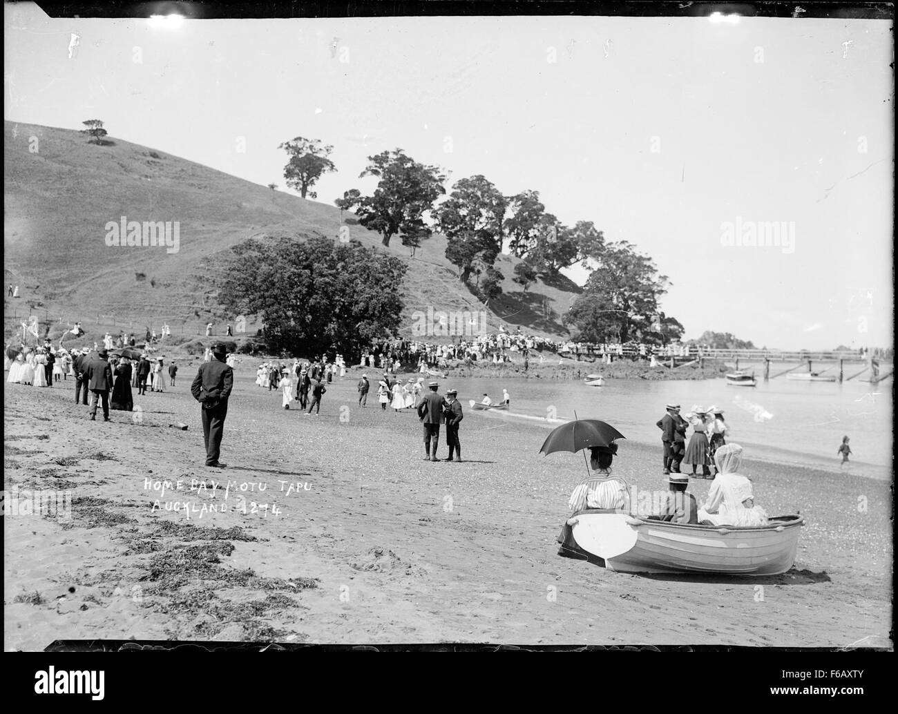 Motutapu island hi-res stock photography and images - Alamy