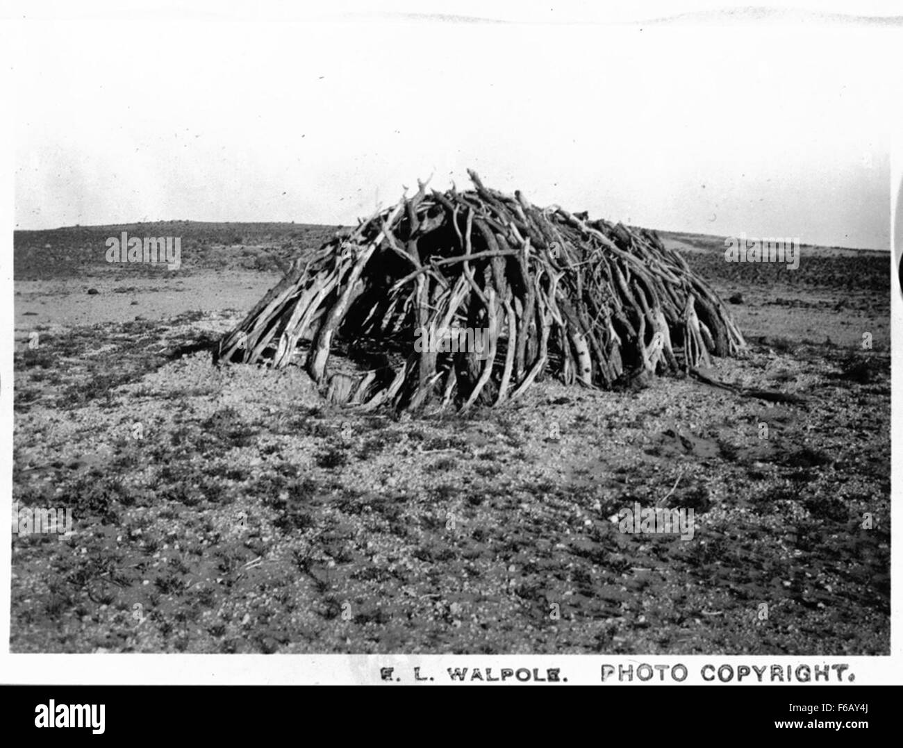 This scene captures the rural landscapes of southwestern Queensland ...