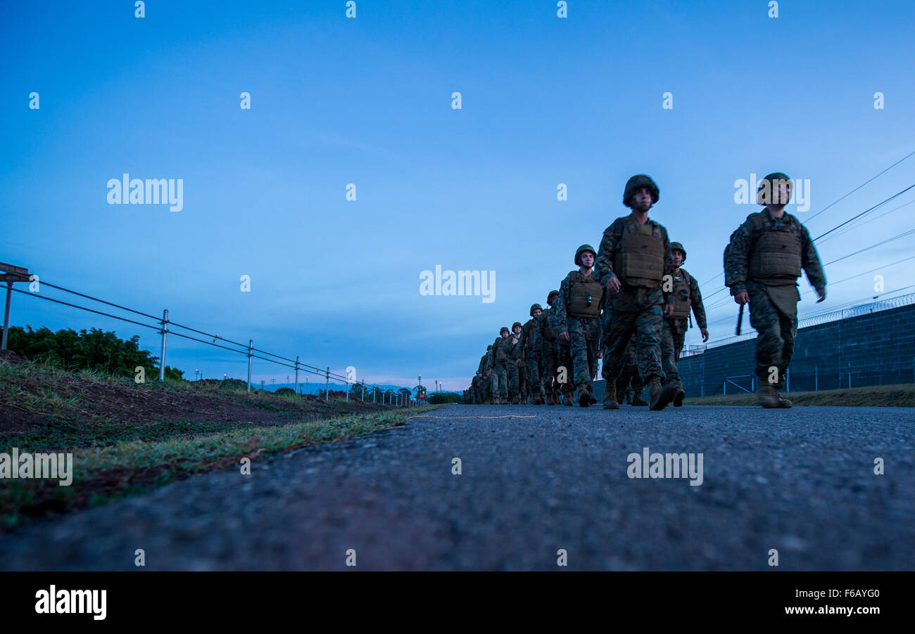 Shared responsibility in task hi-res stock photography and images - Alamy