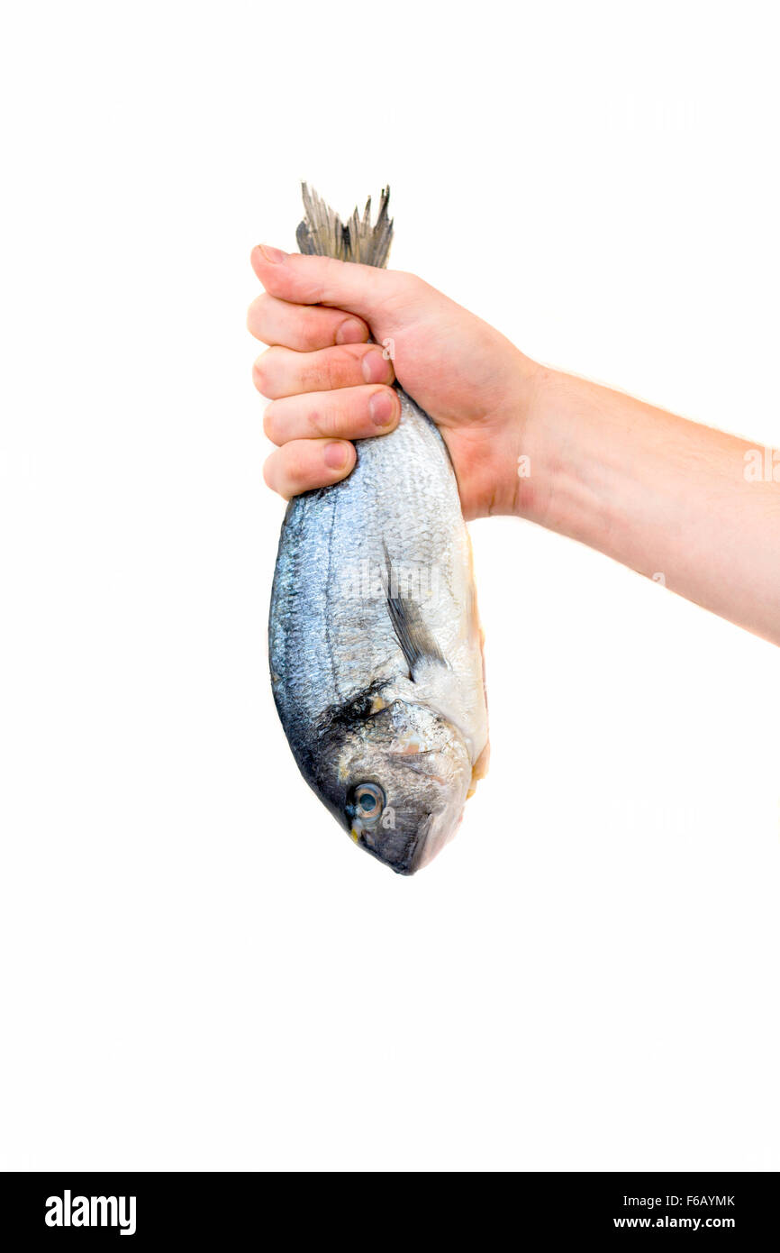 Fish againts isolated background Stock Photo - Alamy