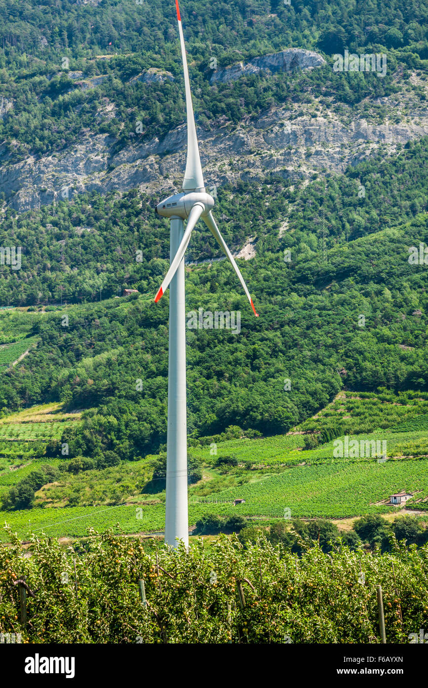 windmill, group of aligned windmills for electric power generation ...