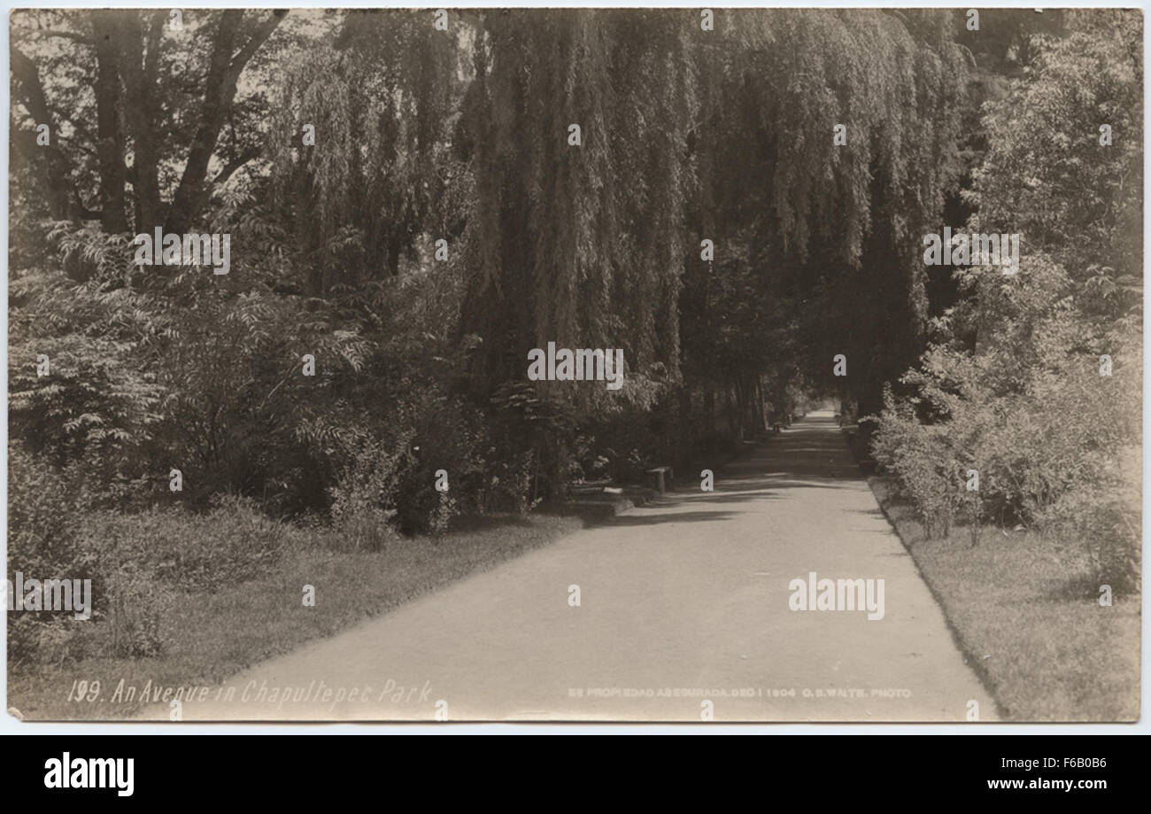 This image showcases an avenue in Chapultepec Park, one of the largest ...