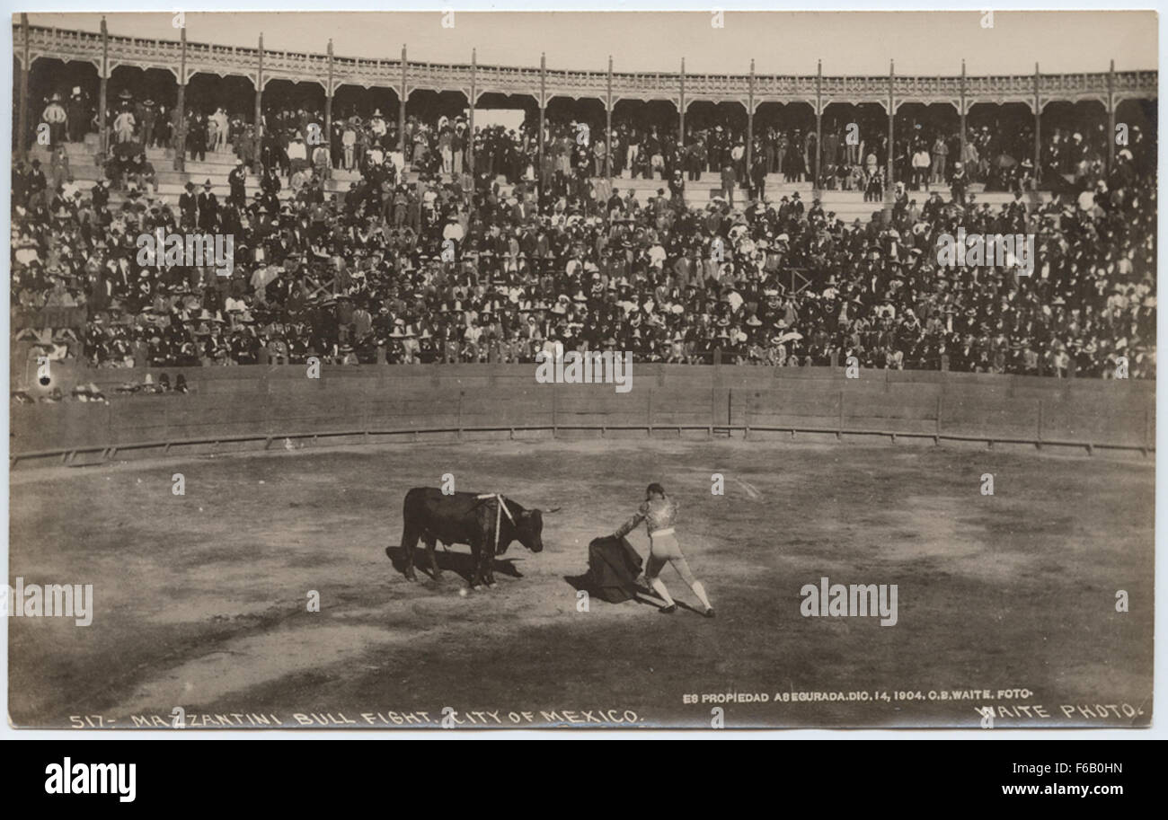 Bullfighting mexico city mexico hi-res stock photography and images - Alamy
