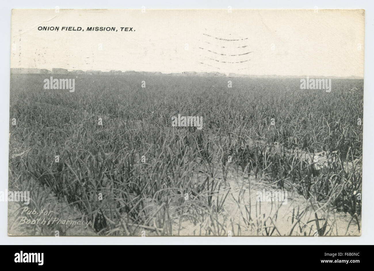 Field mission hi-res stock photography and images - Alamy