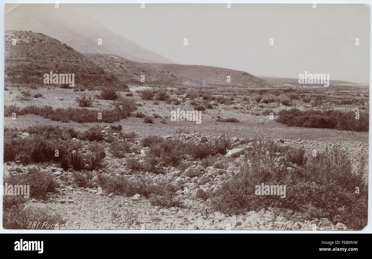 This photograph depicts a part of the battlefield of Buena Vista in ...