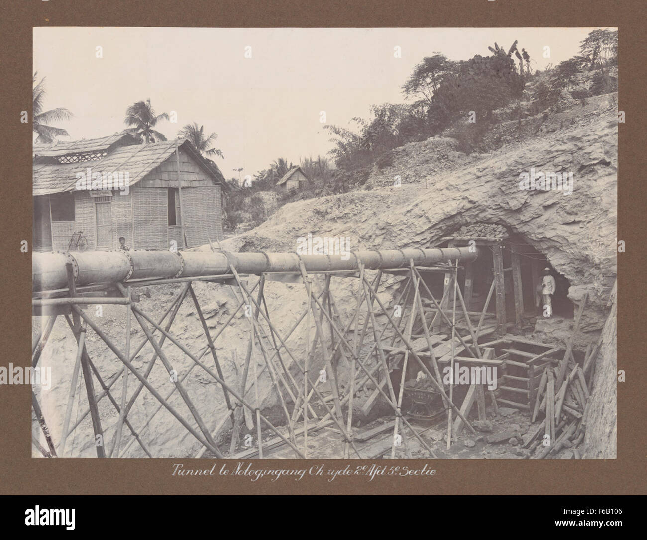 Notog hi-res stock photography and images - Alamy