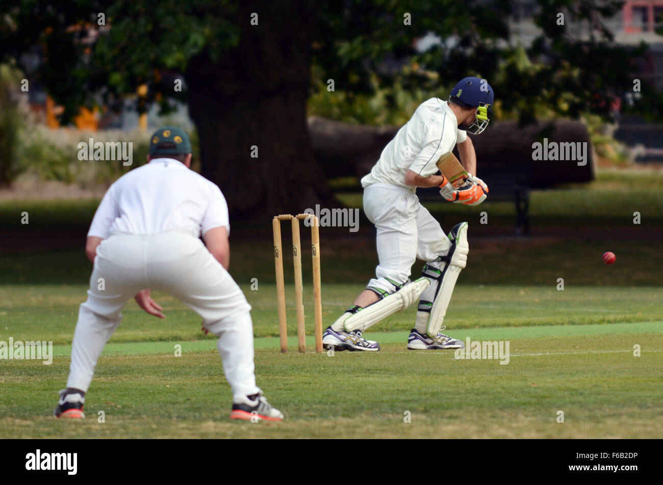 Professional Cricket Players High Resolution Stock Photography and ...