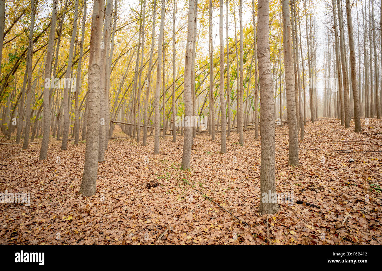 Lean to side hi-res stock photography and images - Alamy