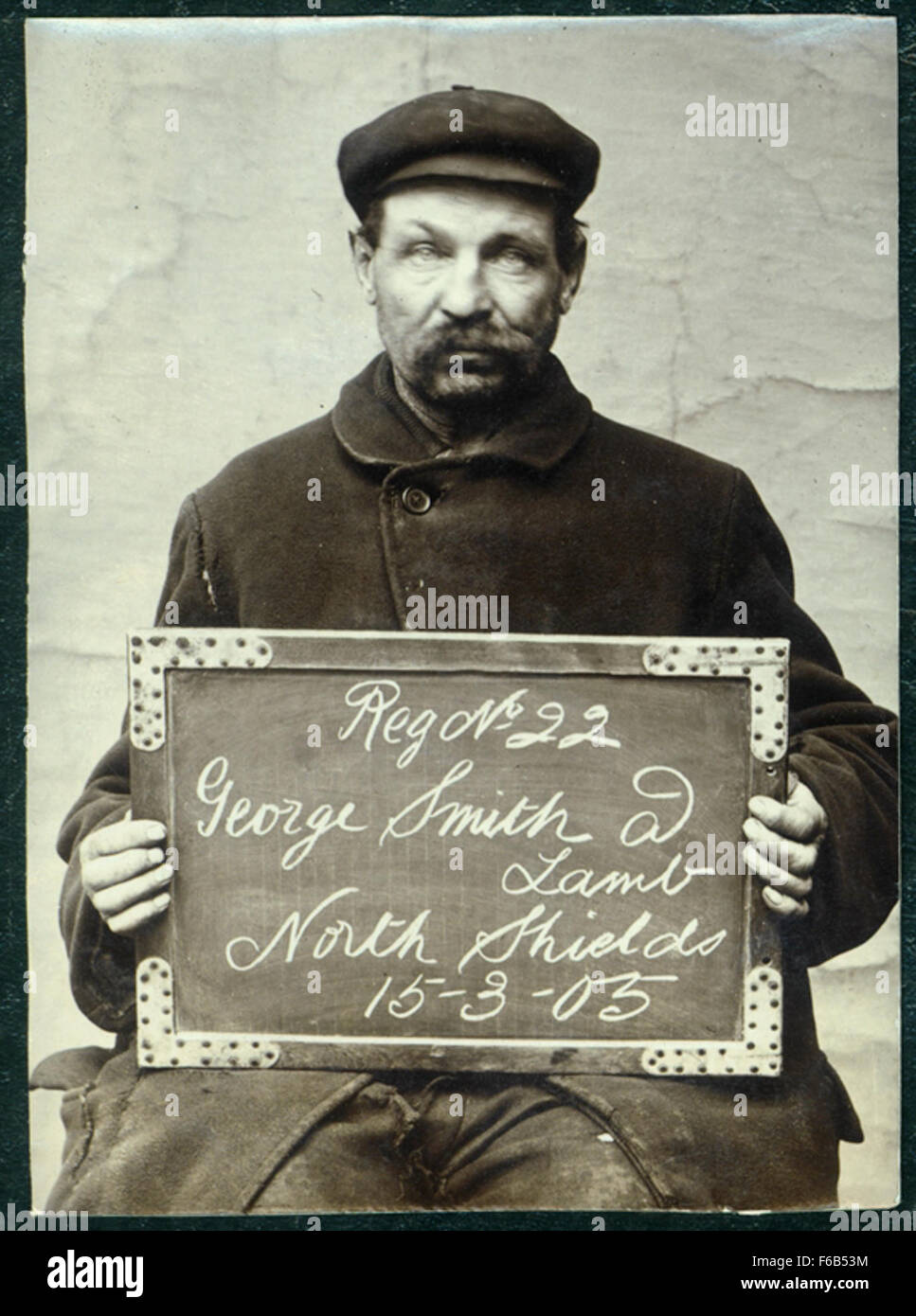 Lamb photograph hi-res stock photography and images - Alamy