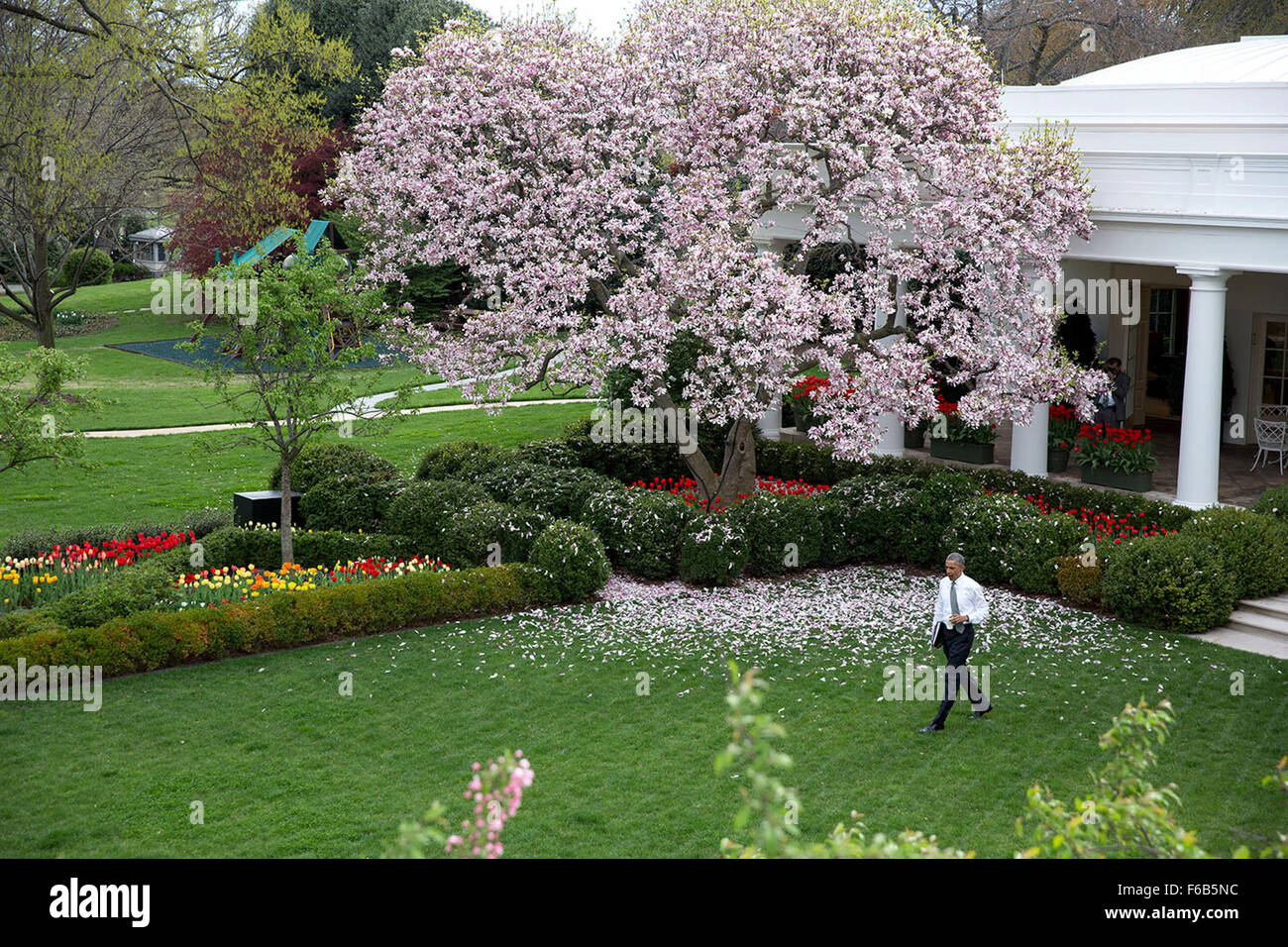 Obama White House Garden