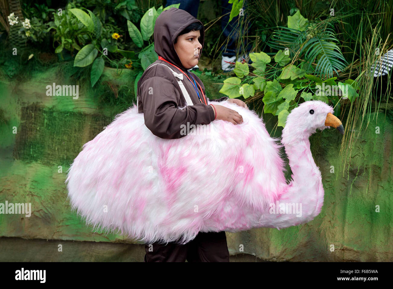 A young boy walks alongside a float during the Republic Day Parade in ...