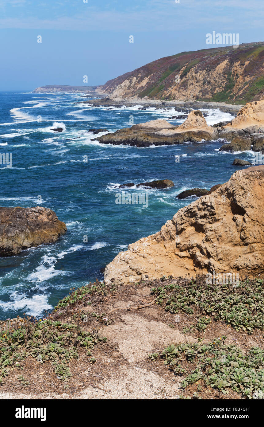 bodega head rocky coast off pacific ocean in sonoma coast state park of ...