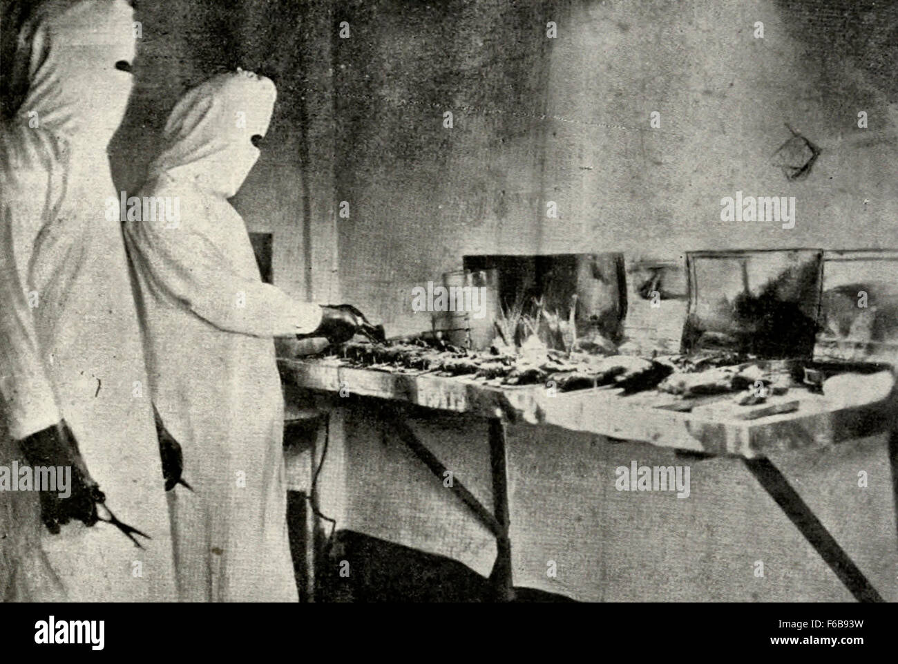 Bacteria Da Peste Pneumonica Plague The Lancet