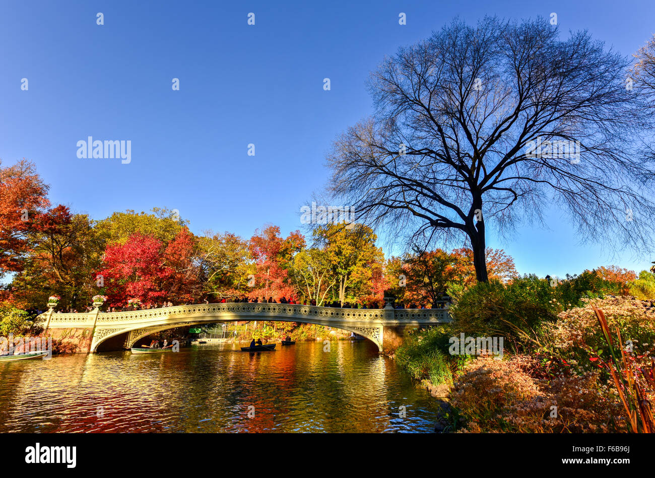 The Bow Bridge is a cast iron bridge located in Central Park, New York ...