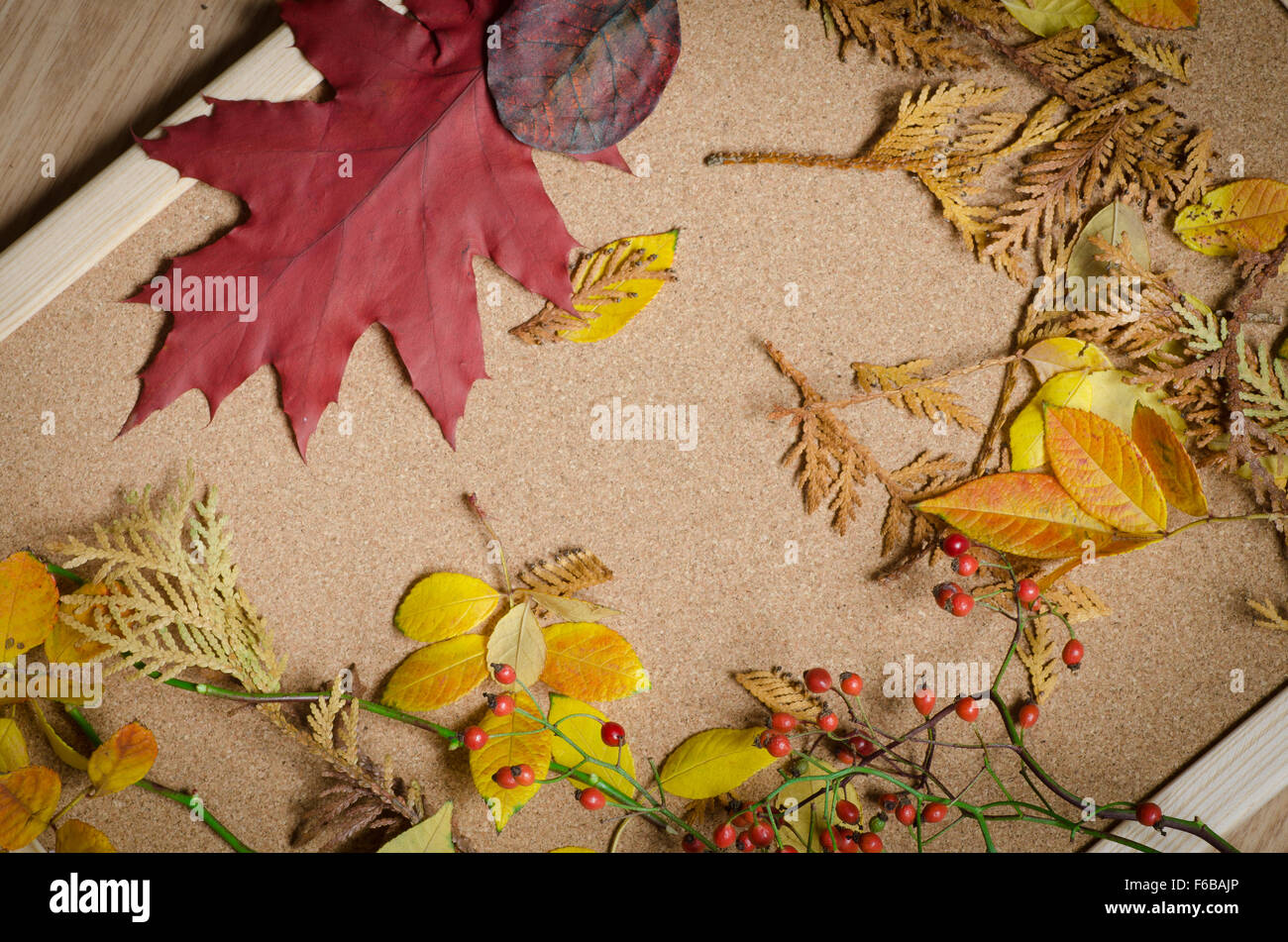 Closeup to autumn leaves decoration Stock Photo - Alamy