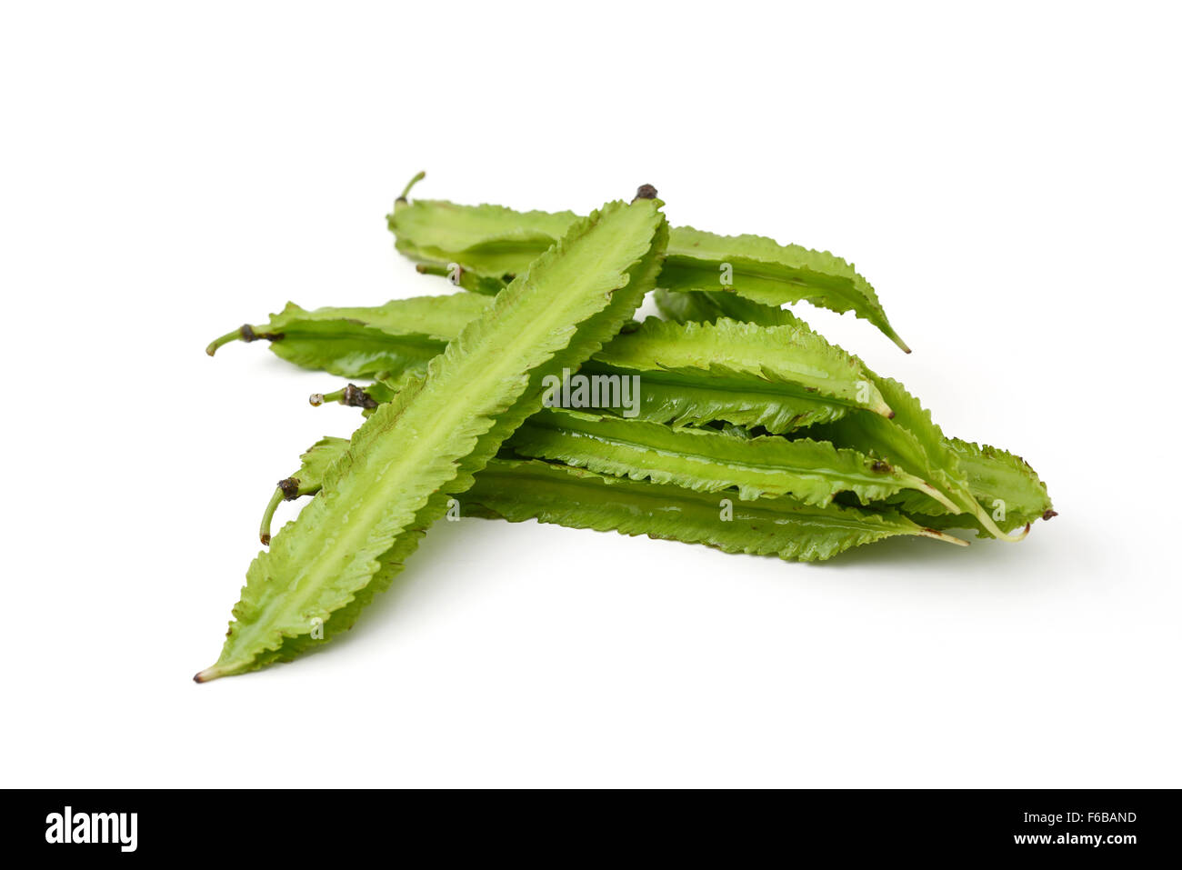 winged bean on white background Stock Photo - Alamy