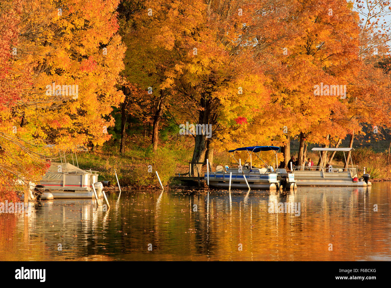Pontoons boats at dock with Fall color in maples along the shore Stock ...