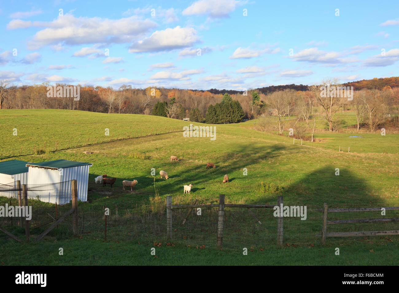 Pasture at Malabar Farm State Park in central Ohio Stock Photo - Alamy