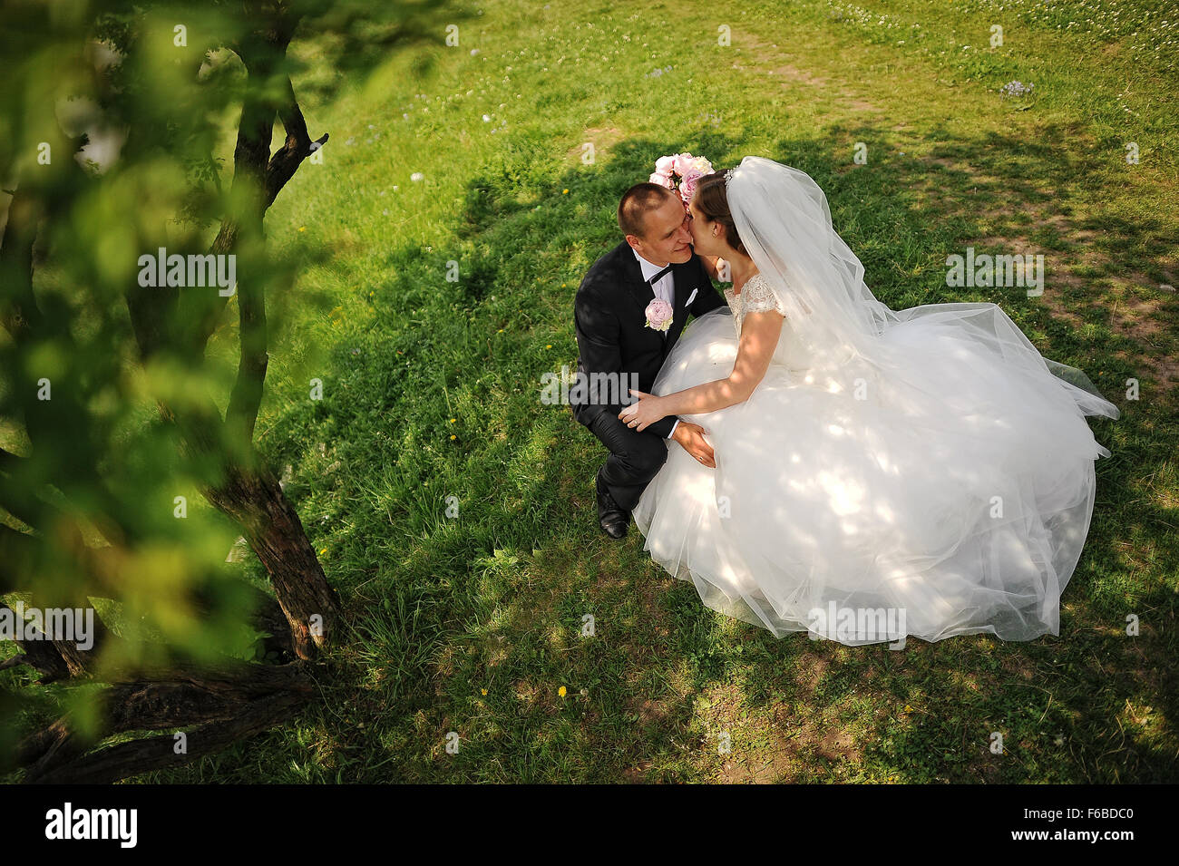 Wedding couple sitting under the tree Stock Photo - Alamy